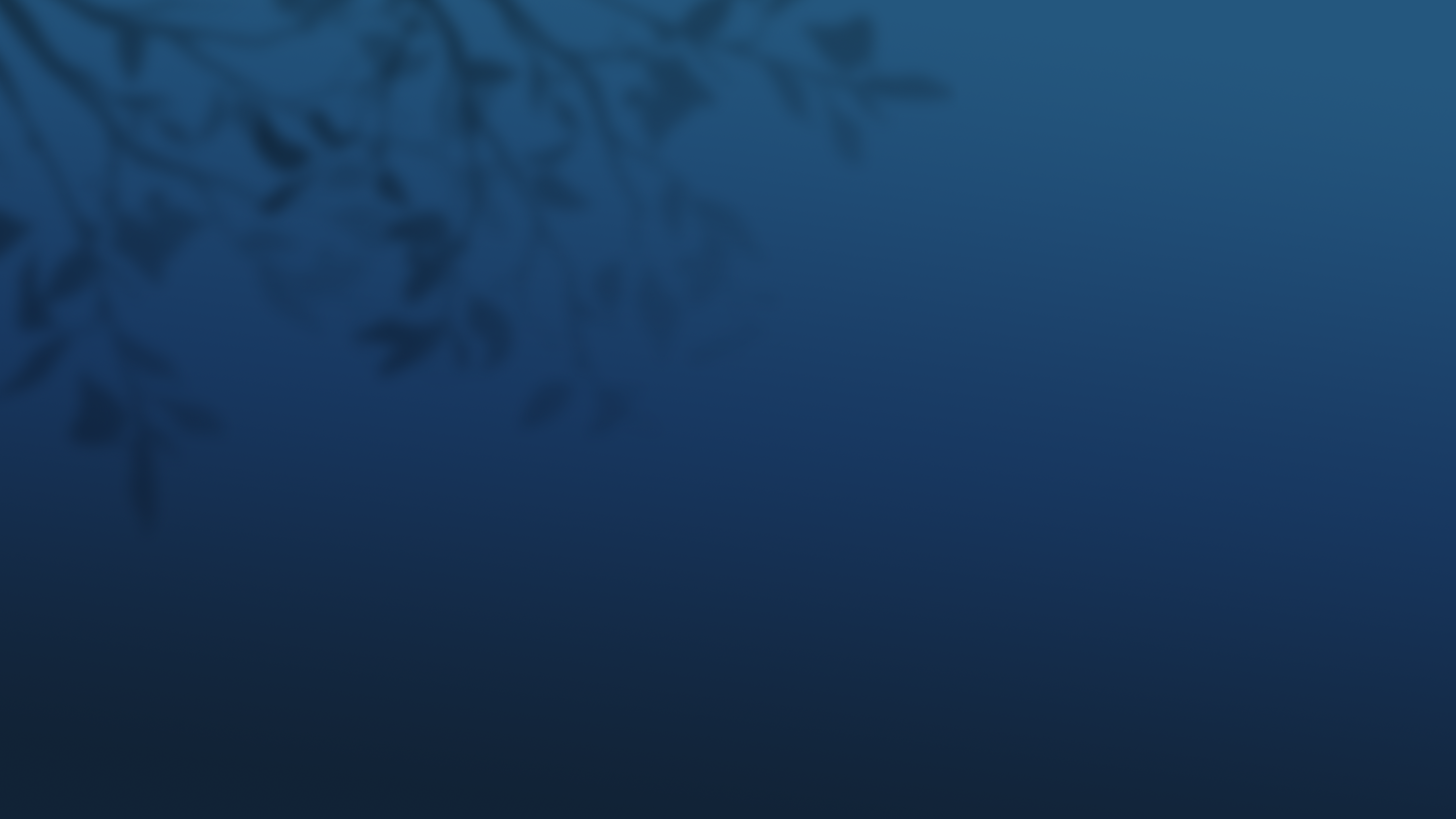 Login – SOLEM